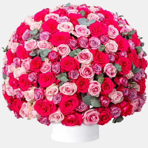 365 First Blush Flower Box | FloraKuwait.com
