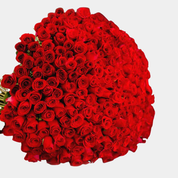 500 Love Roses | FloraKuwait.com