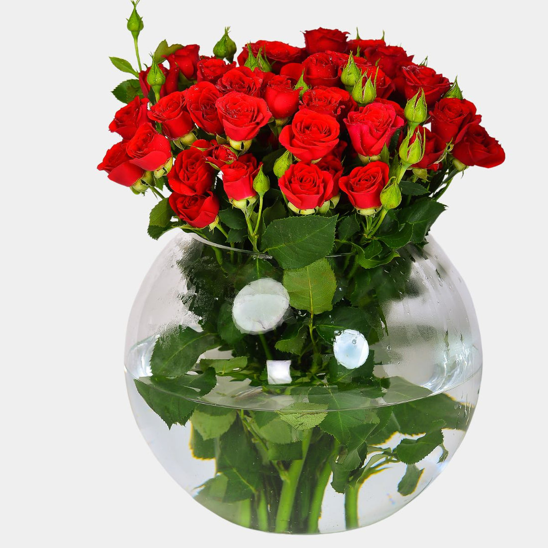 Red Baby Roses Round Vase | FloraKuwait.com