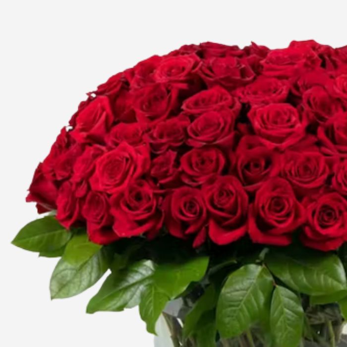 100 Stunning Red Roses | FloraKuwait.com