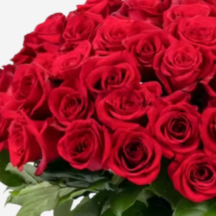50 Stunning Red Roses | FloraKuwait.com